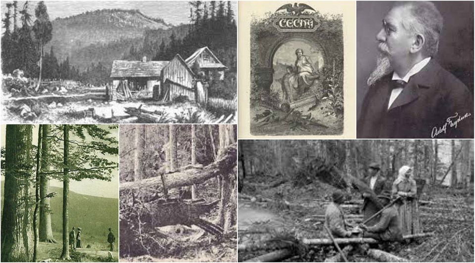 STARÁ ŠUMAVA: Adolf Heyduk a procházka BoubínemZa krásnější Vimperk ...