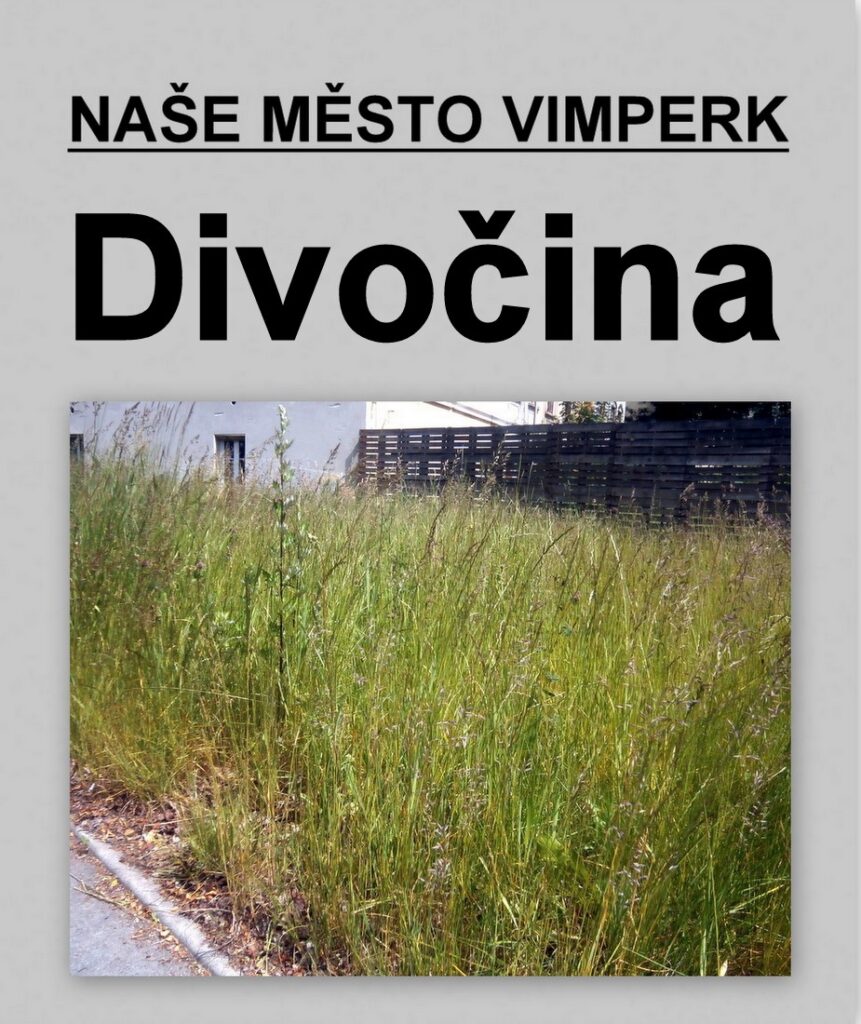 NAŠE MĚSTO VIMPERK: Divočina ve čtvrti Karla WeiseZa krásnější Vimperk ...